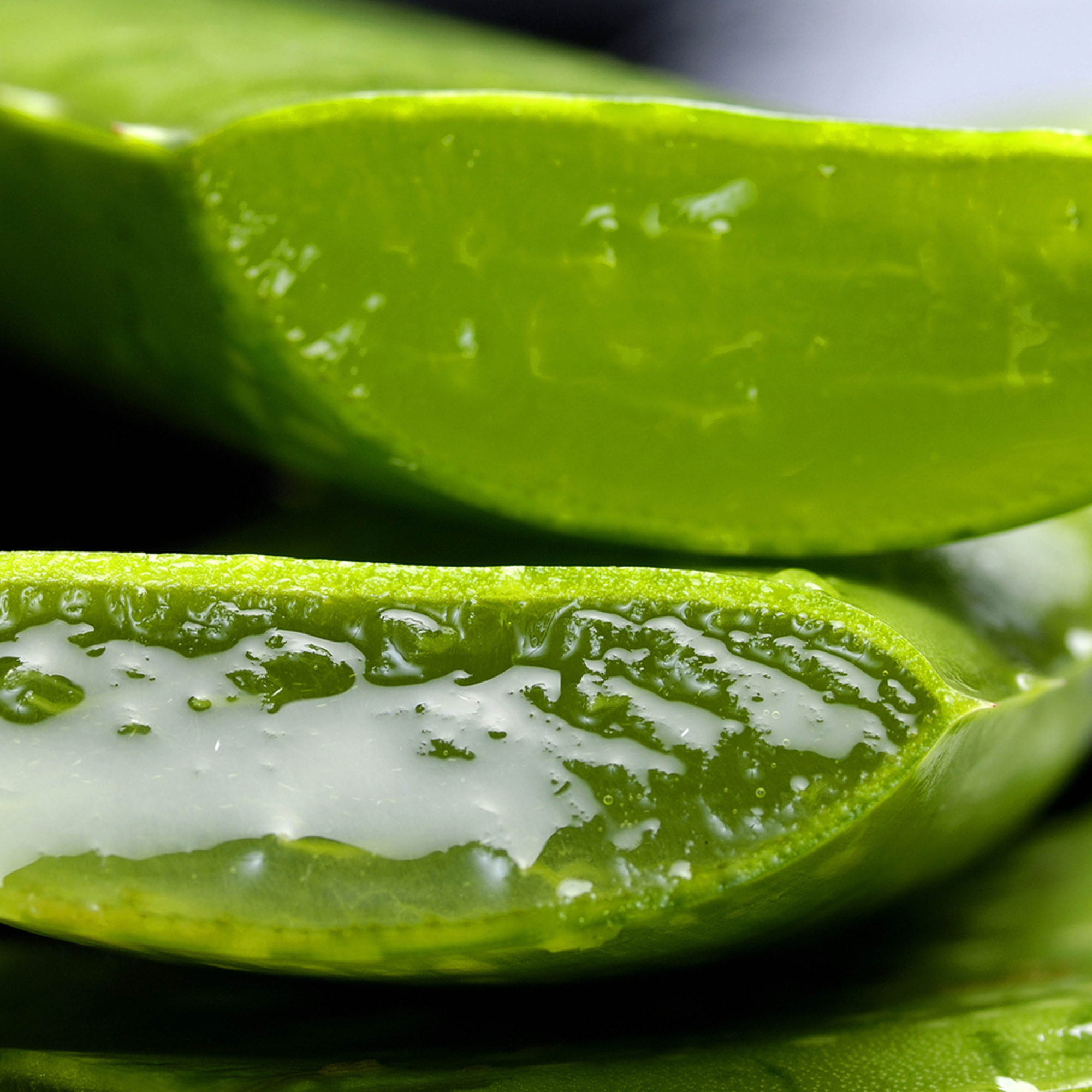 SKINCARE AND HEALTH BENEFITS OF ALOE VERA